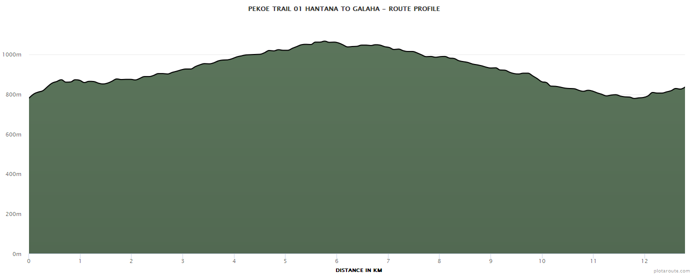The Pekoe Trail Stage 01 : Hanthana to Galaha - The Pekoe Trail ...
