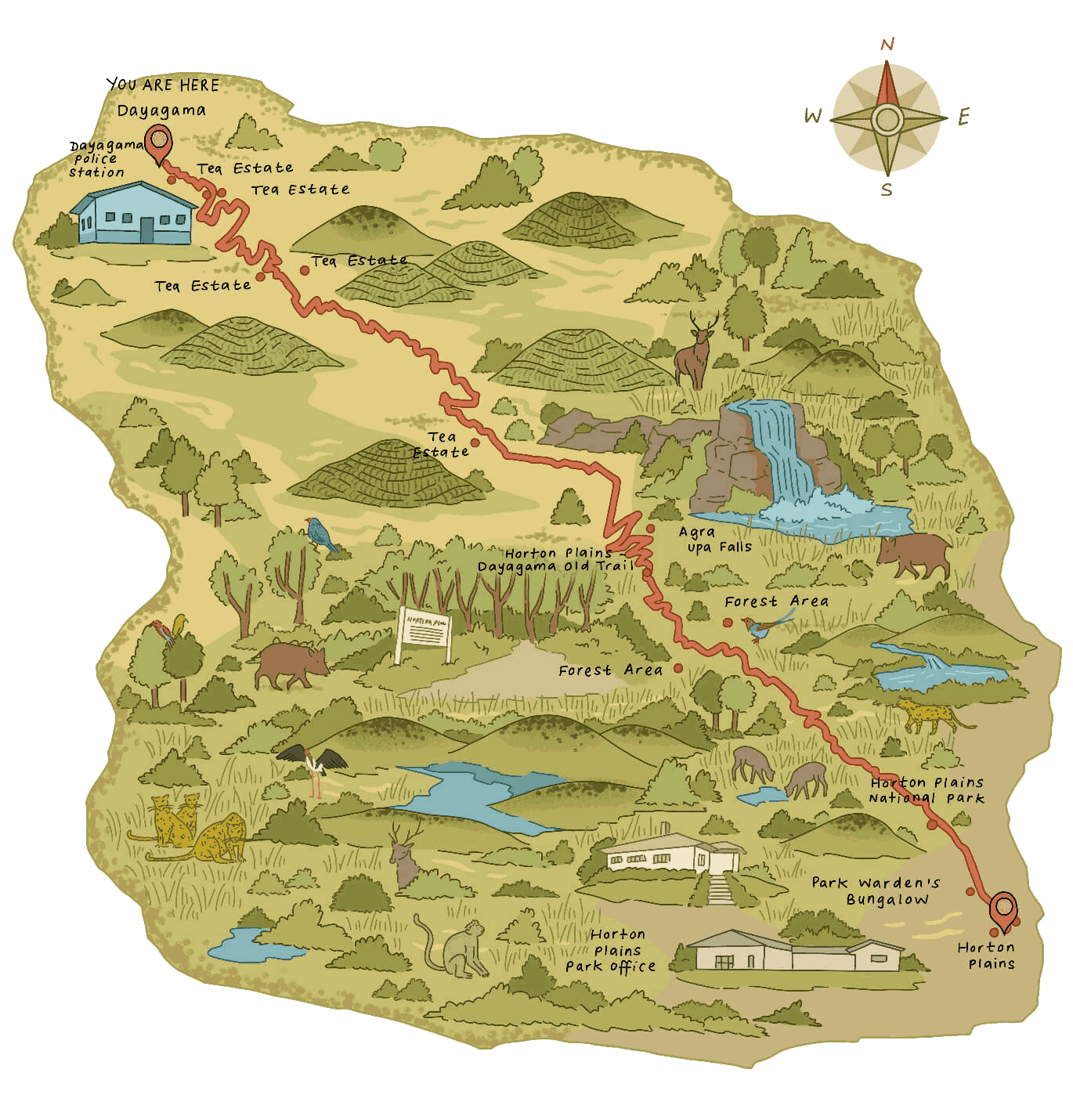 The Pekoe Trail Stage 10 : Dayagama to Horton Plains - The Pekoe Trail ...