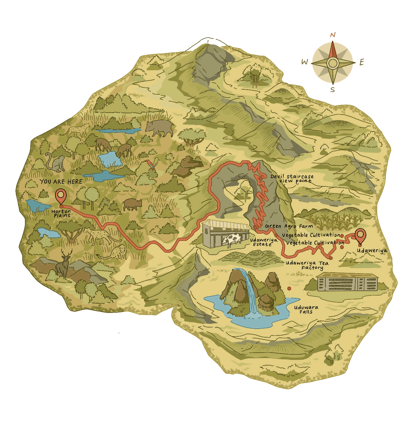 The Pekoe Trail Stage 11 : Horton Plains to Udaweriya - The Pekoe Trail ...